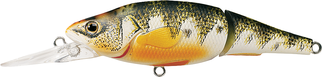 Livetarget Jointed Yellow Perch | Bass Pro Shops